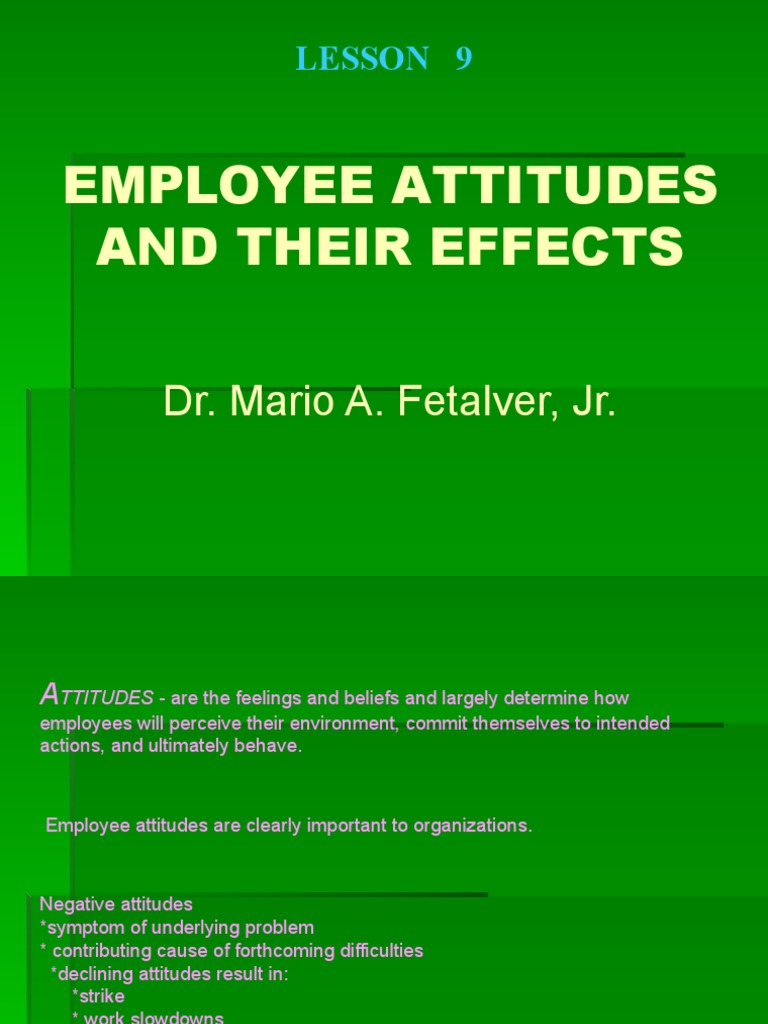 Effects of Employee Attitudes on Performance | PDF | Job Satisfaction ...