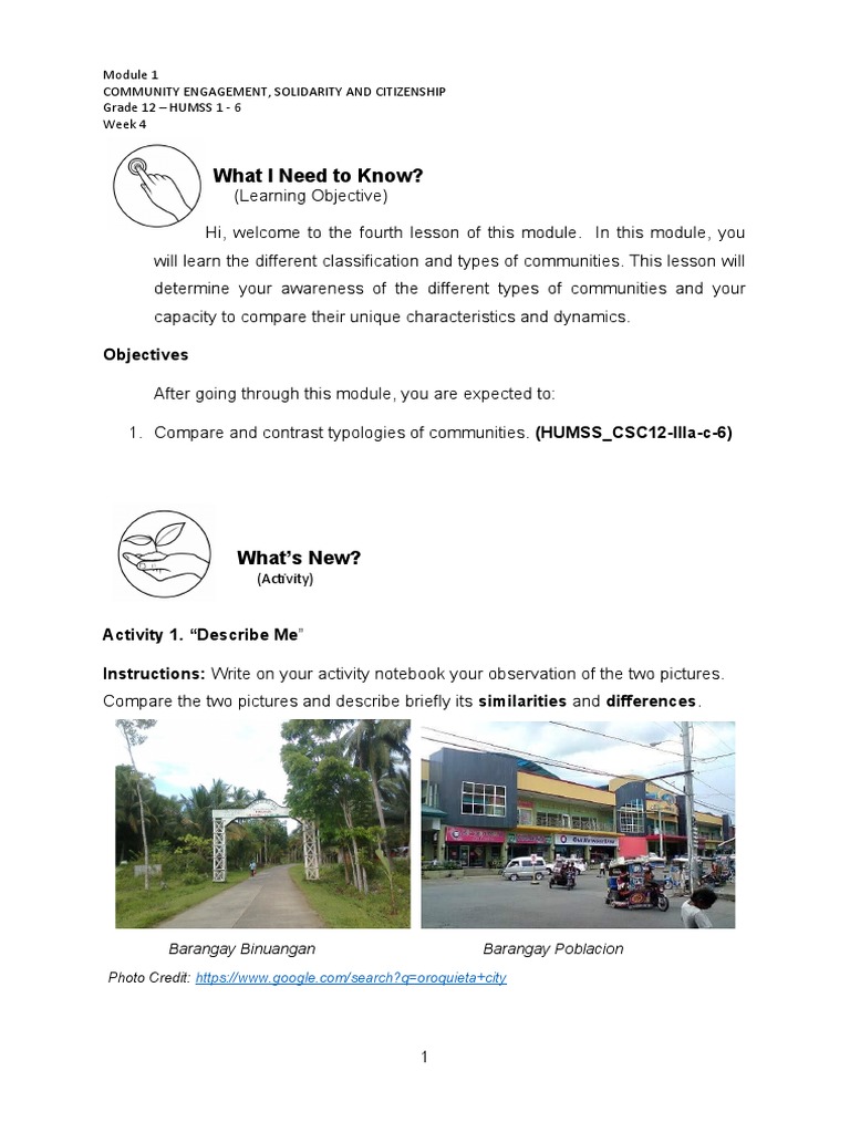 Community Engagement Module 1-Lesson 4 | PDF | Community | Institution