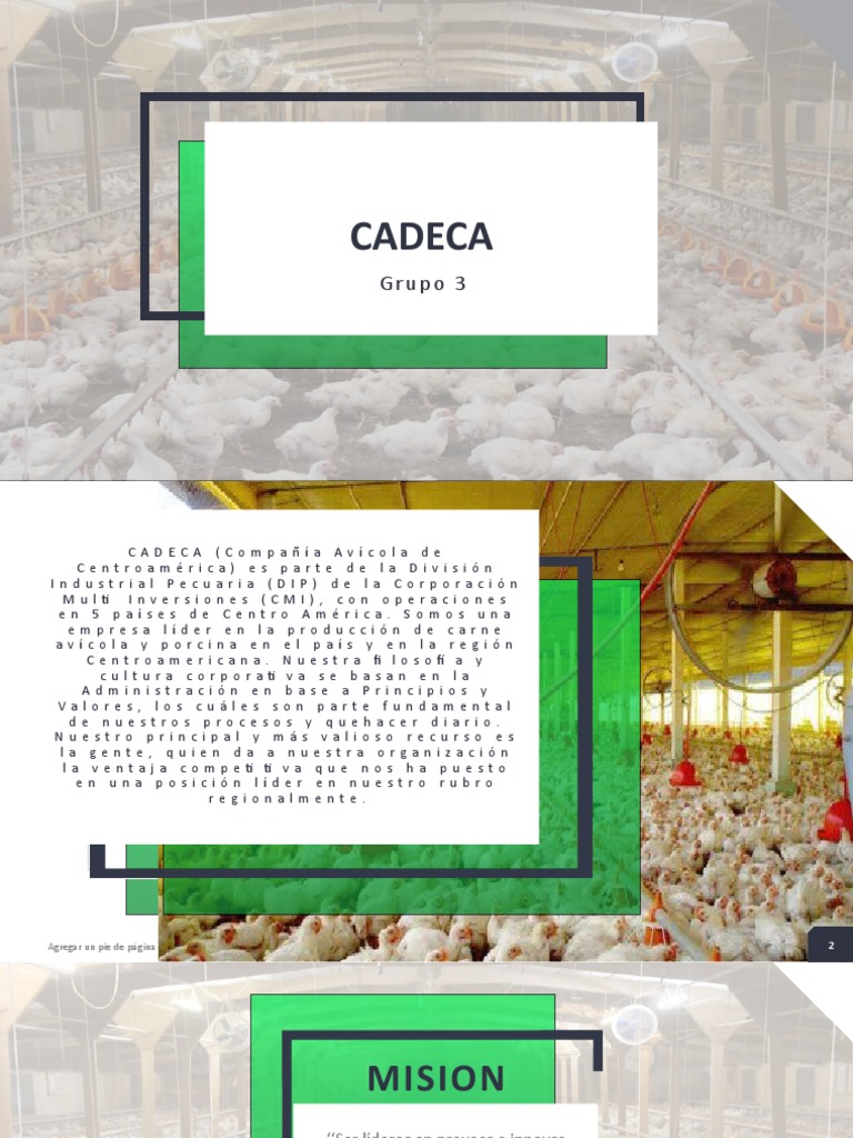 Cadeca | PDF | Honduras | Economias