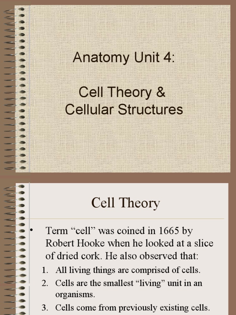 Anatomy Unit 4 - Cell Theory | PDF