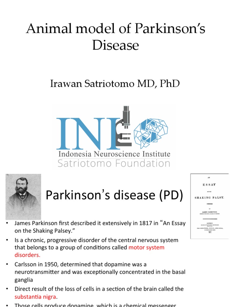 Animal Models of Parkinson's Disease | PDF | Parkinson's Disease ...