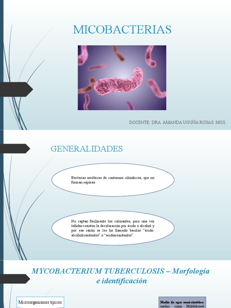 Características y Diagnóstico de Micobacterias | PDF | Mycobacterium ...