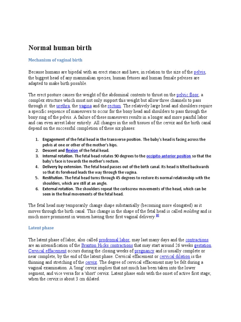 Human Vaginal Birth Mechanism Explained | PDF | Childbirth | Pelvis