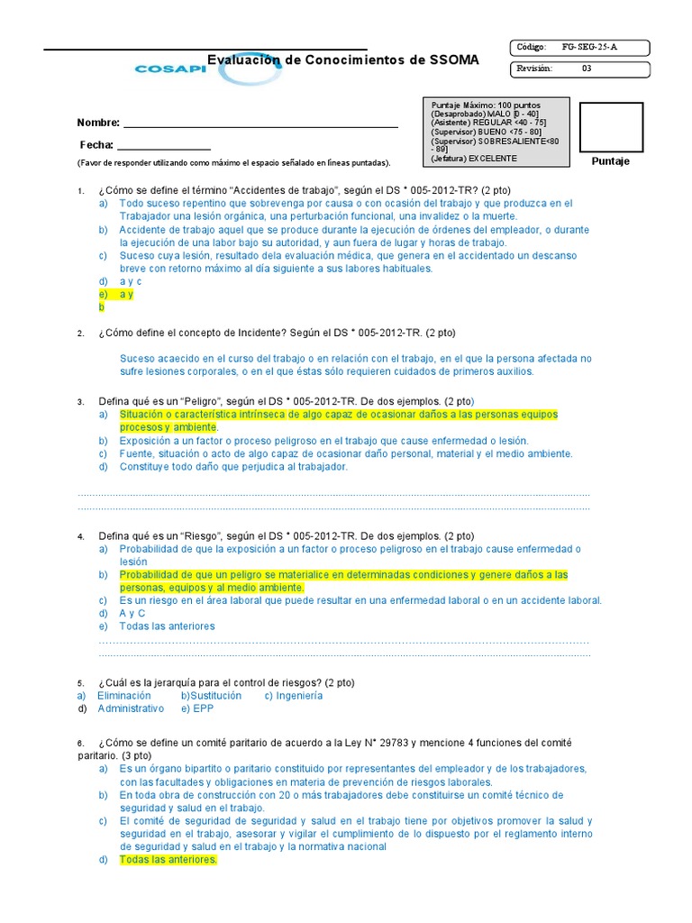 Examen de Cosapi | PDF | Naturaleza | Empleo