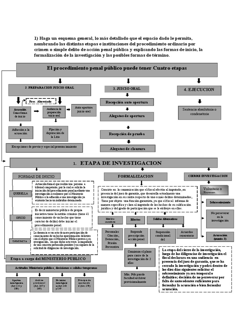Esquema del Proceso Penal Chileno | PDF | Procedimiento Criminal ...