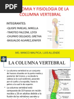 Grupo 4 D10 D11 D12 Terminado | PDF | Vértebra | Tórax