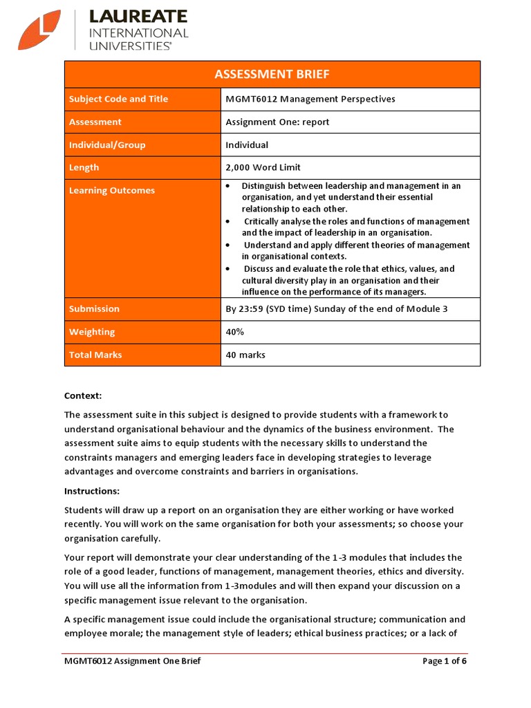 Management Perspectives Report Guide | PDF | Leadership | Educational ...