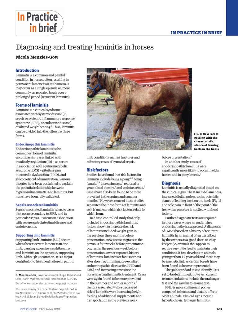 Diagnosing and Treating Laminitis in Horses: Nicola Menzies-Gow | PDF ...