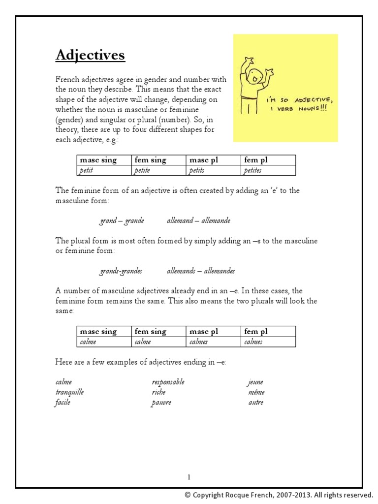 French Grammar Adjectives | PDF | Grammatical Gender | Grammatical Number