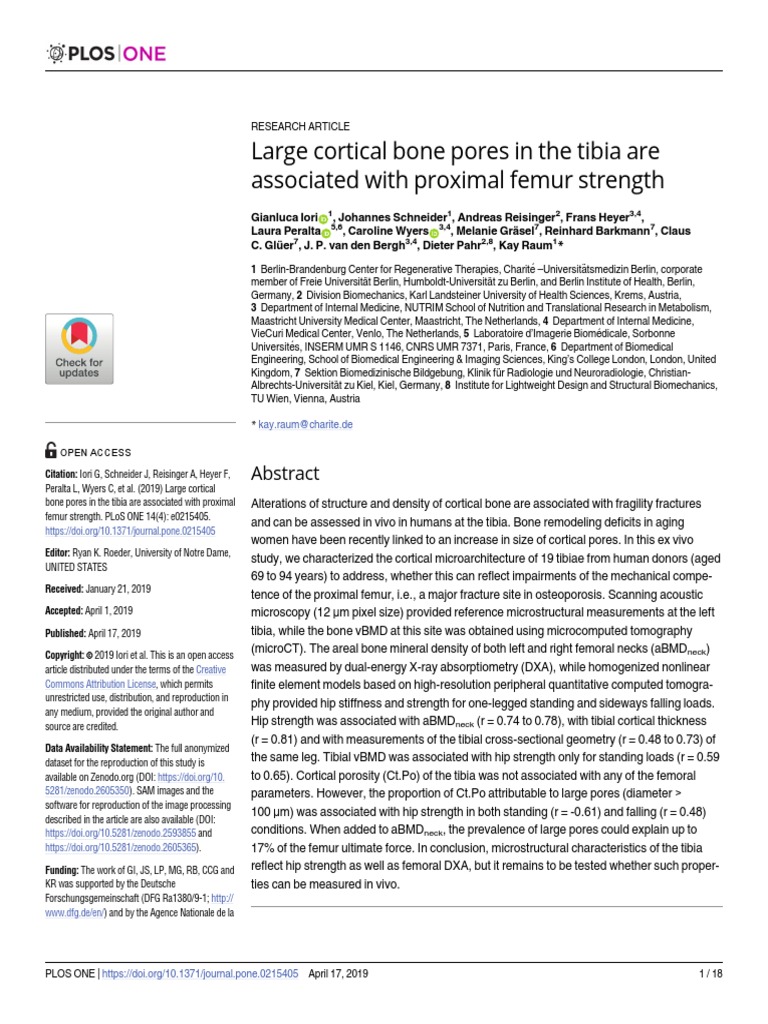 Large Cortical Bone Pores in The Tibia Are Associated With Proximal ...
