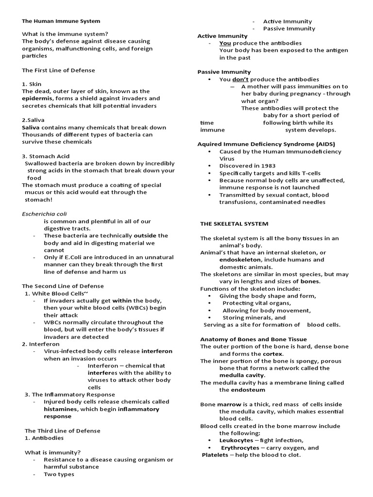 Immune Hand Outs | PDF | Immune System | Bone
