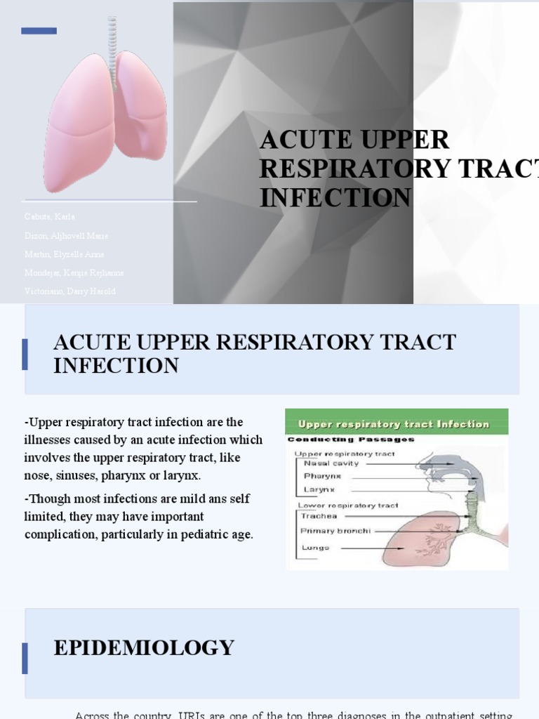Acute Upper Respiratory Infections Guide | PDF | Common Cold | Virus
