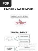 Clasificación de Fimosis Kayaba | PDF | Mamíferos machos | Pene
