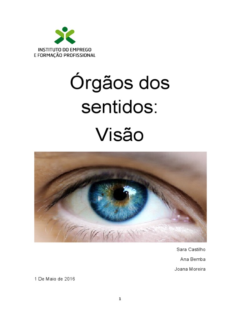 Anatomia e Fisiologia da Visão | PDF | Olho humano | Olho