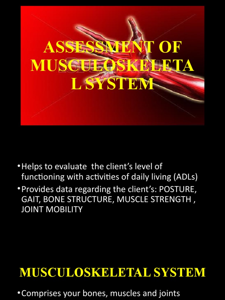 Assessment of Musculoskeleta L System | PDF | Anatomical Terms Of ...