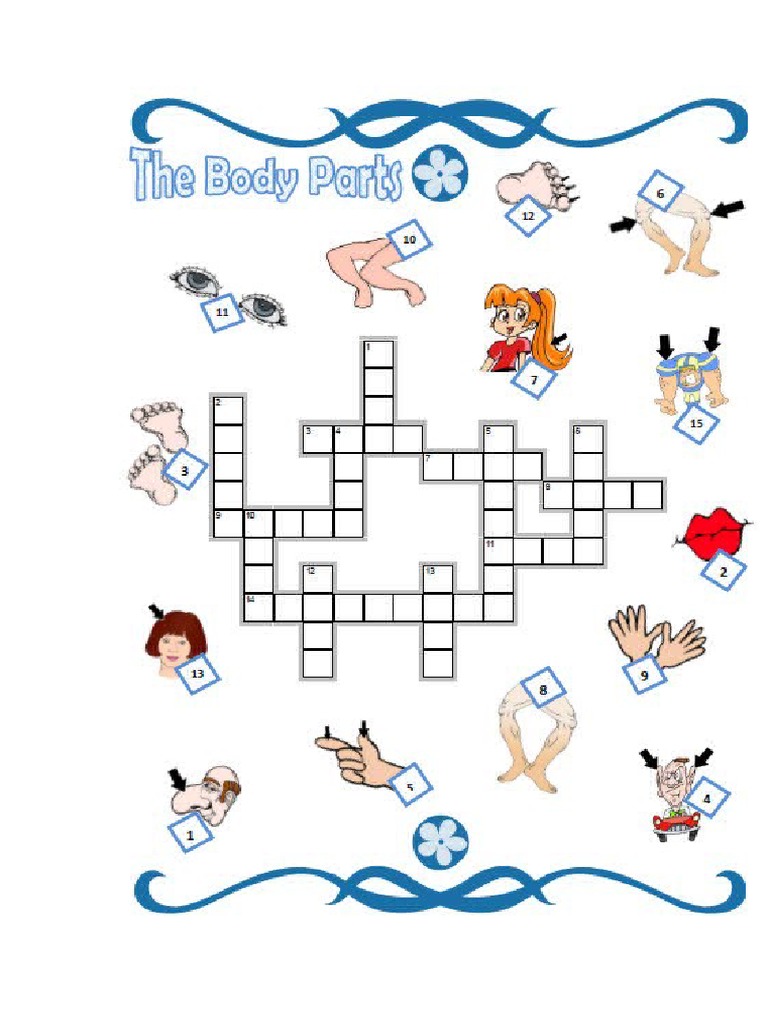 Crucigrama Partes Del Cuerpo | PDF