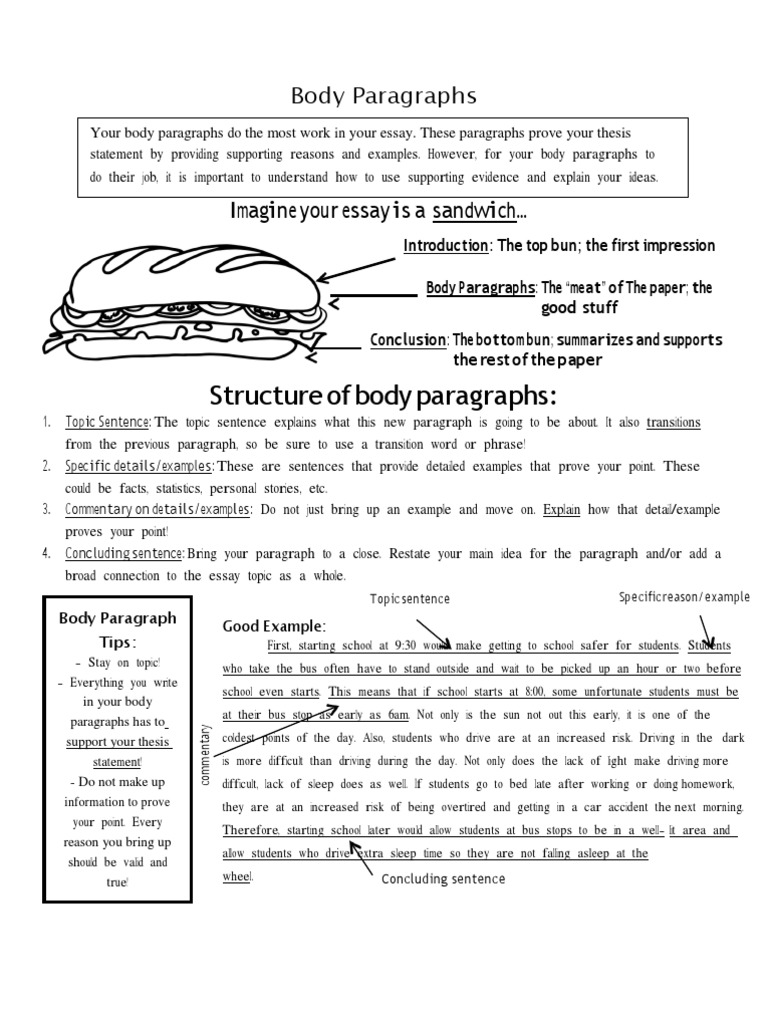 Body Paragraphs-Explanation | Download Free PDF | Essays | Paragraph