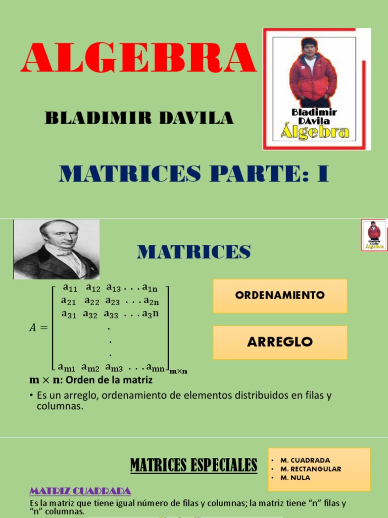Matrices Parte 1 | PDF | Matriz (Matemáticas) | Análisis funcional