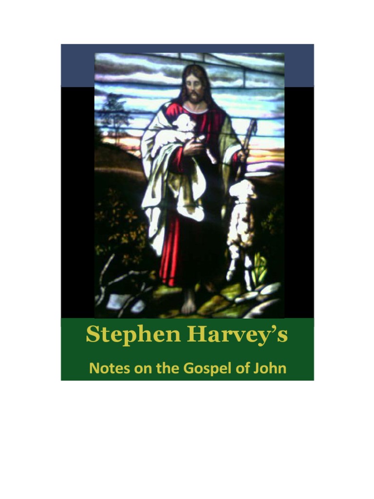 Notes On The Gospel of John | PDF | Gospel Of John | Jesus