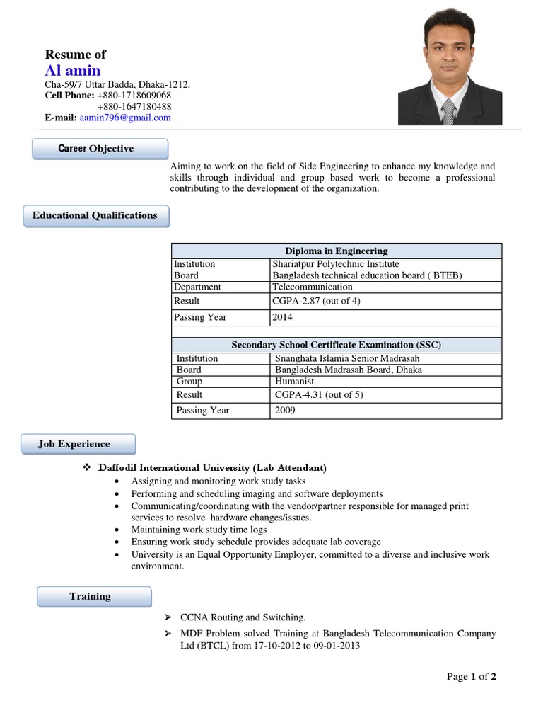 Al Amin CV | PDF | Computing | Computing And Information Technology