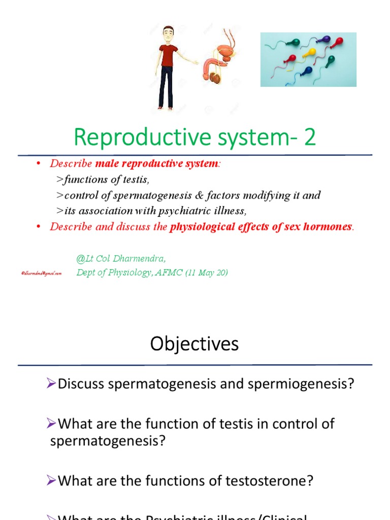 Reproductive System 2 @students | PDF | Testicle | Luteinizing Hormone