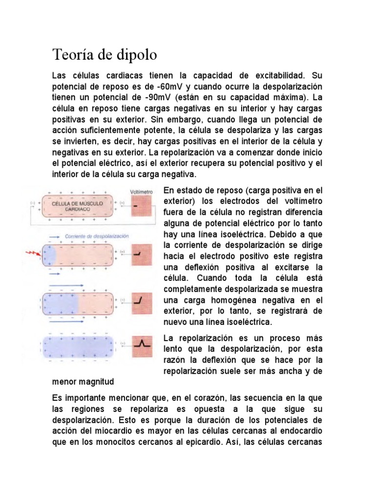 Teoría de Dipolo | PDF
