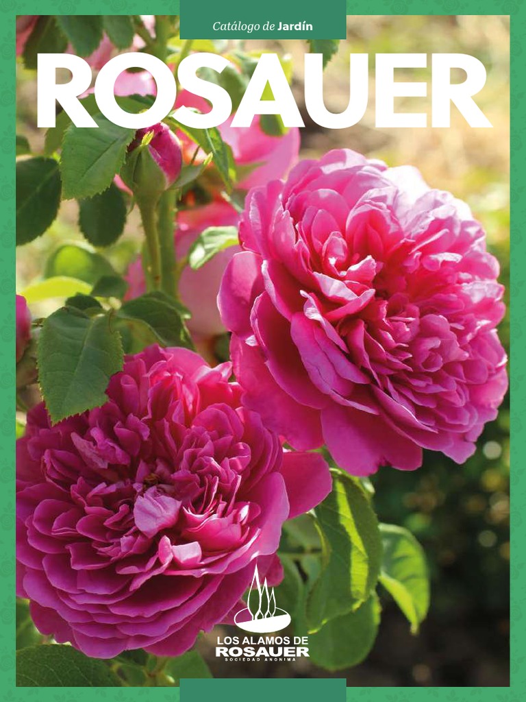 Rosas 2019 PDF | PDF | Rosa | Té