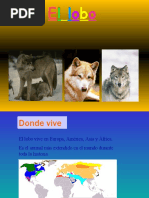 Anexo Lobos | PDF | Piel | Zoología