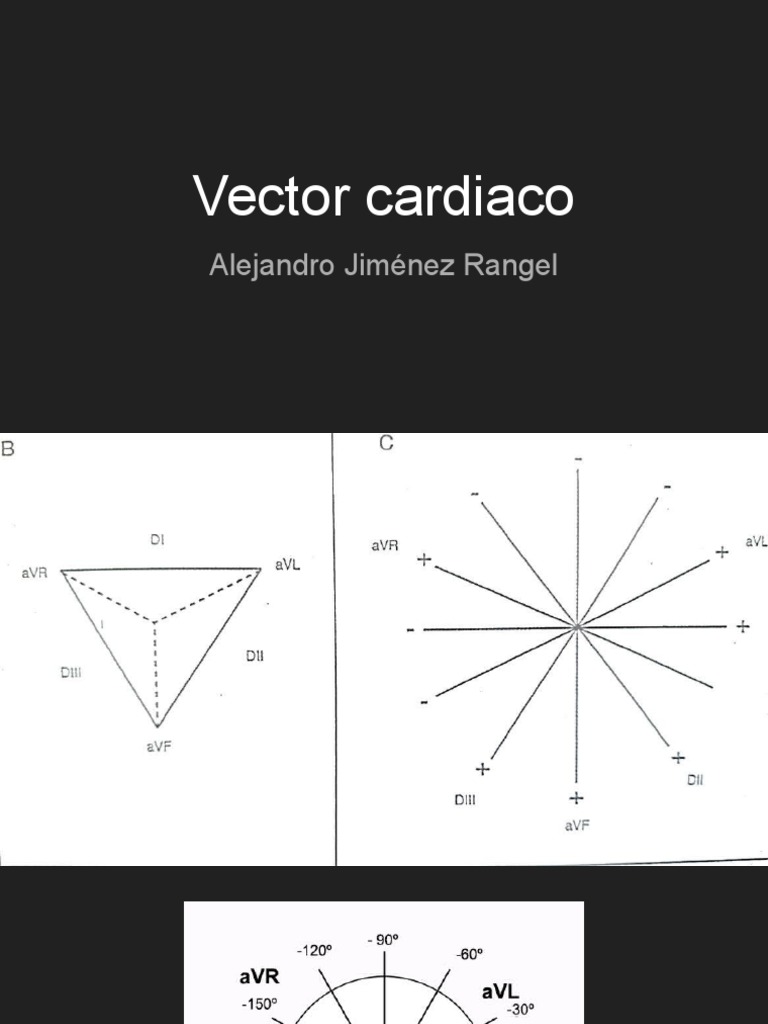 Vector Cardiaco | PDF