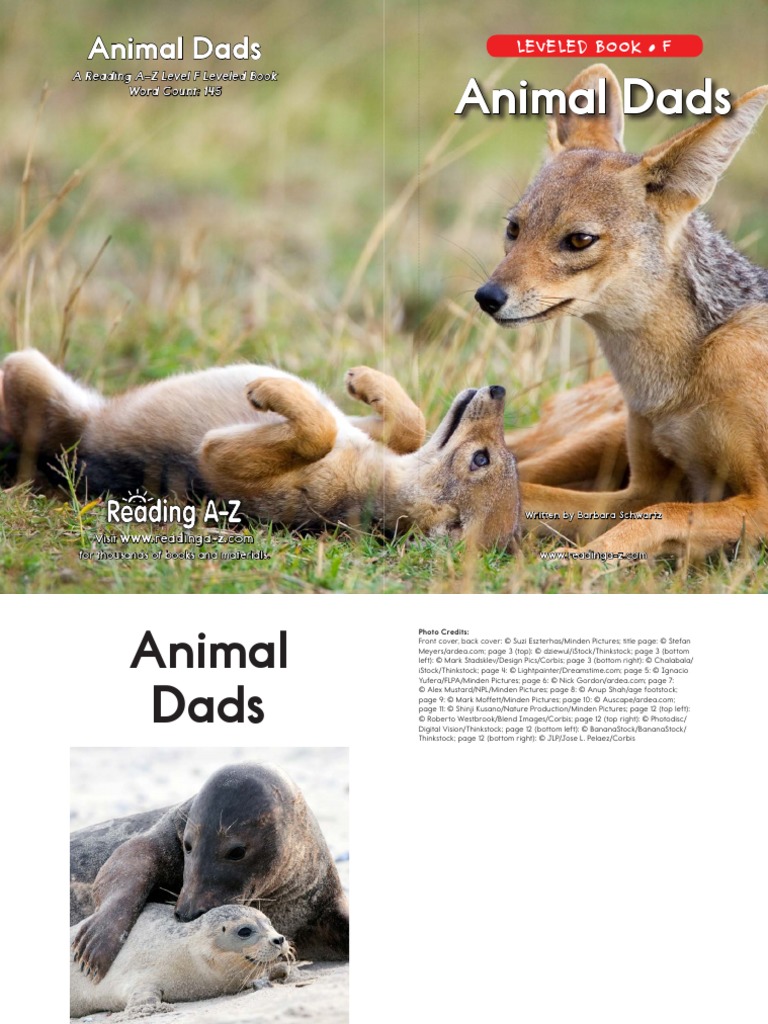 Animal Dads | PDF | Nature