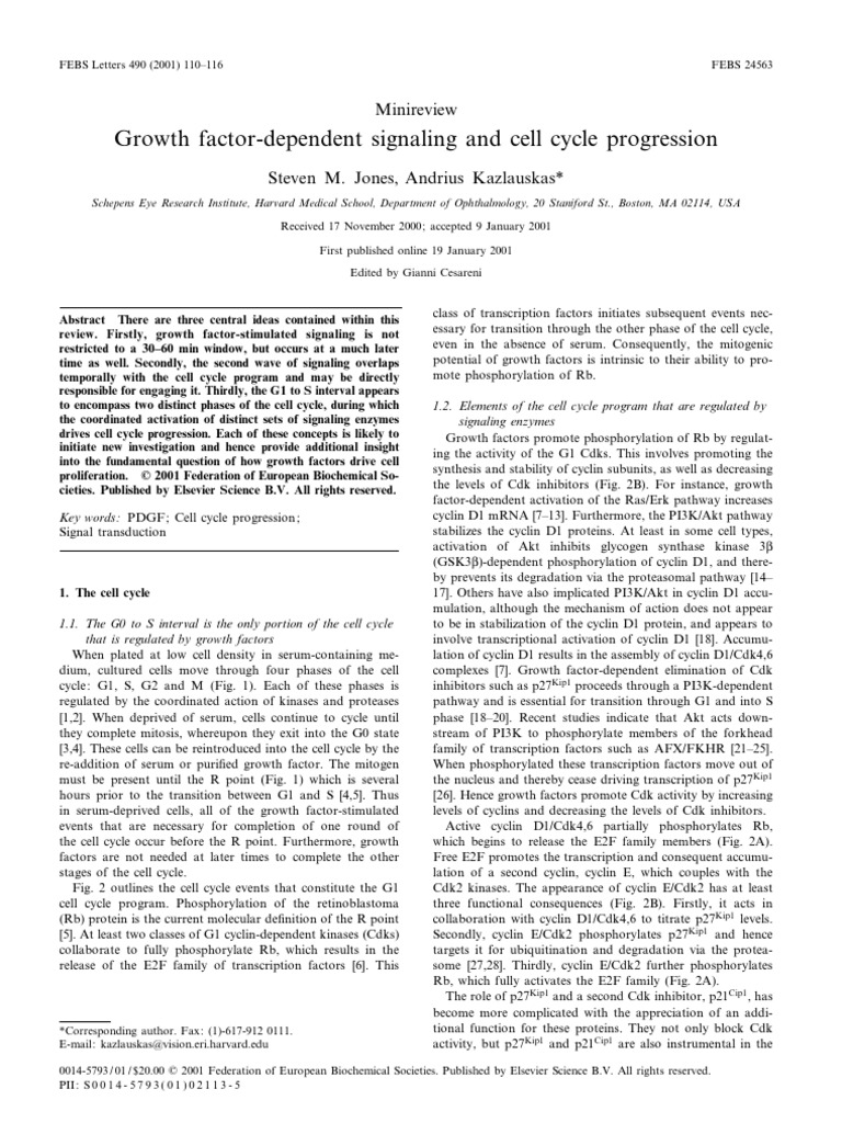 Cell Cycle | PDF | Cell Cycle | Cellular Processes
