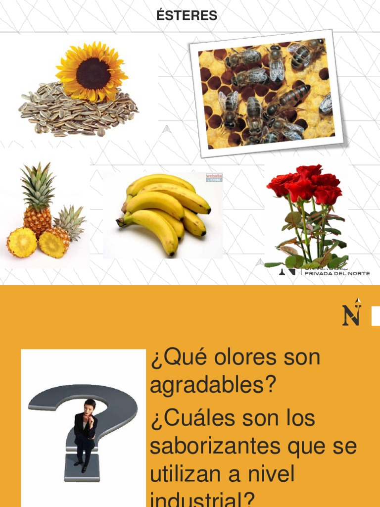 Ésteres: Propiedades y Aplicaciones | PDF | Ester | Ácido carboxílico
