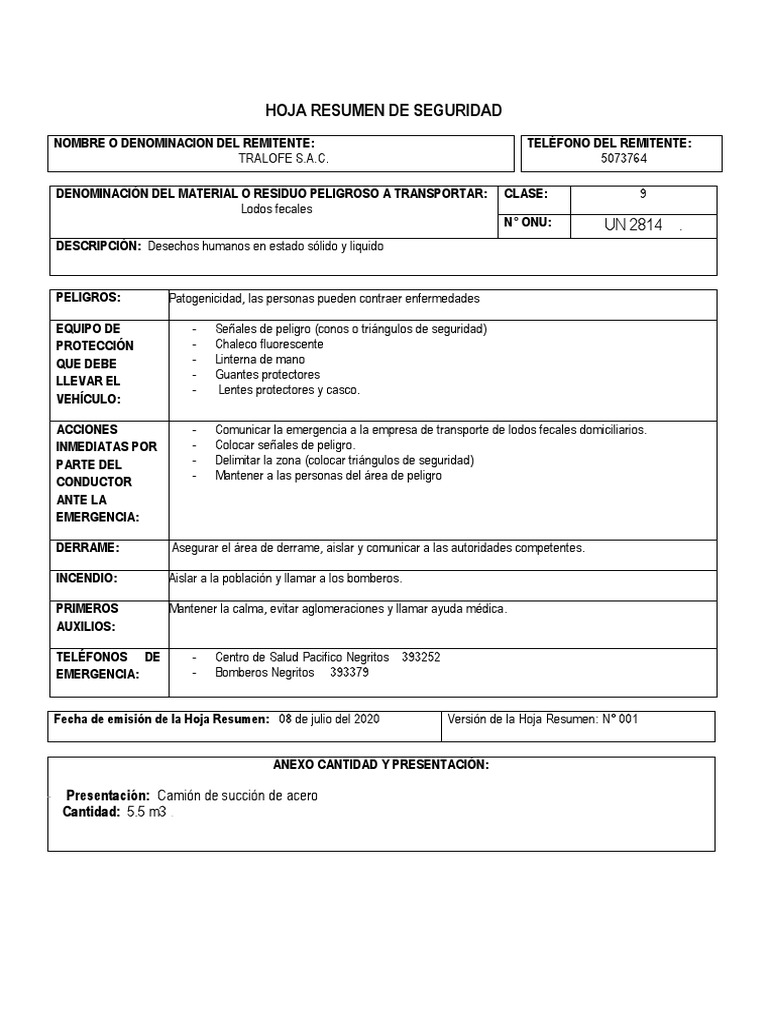 Hoja Resumen de Seguridad | PDF