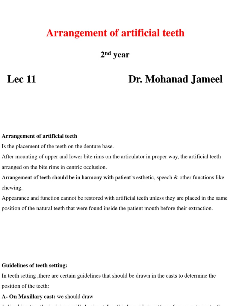 Lec 11 Arrangment of Teeth | PDF | Human Head And Neck | Primate Anatomy
