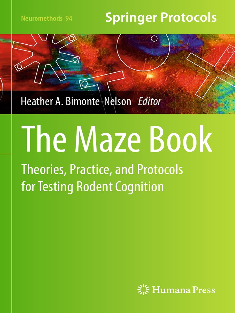 The Maze Book 2015 PDF | PDF | Memory | Brain