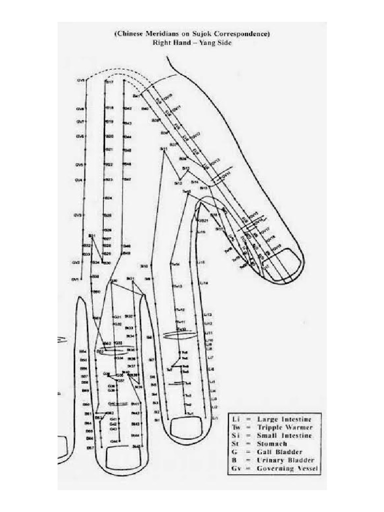 Sujok Therapy Chart | PDF