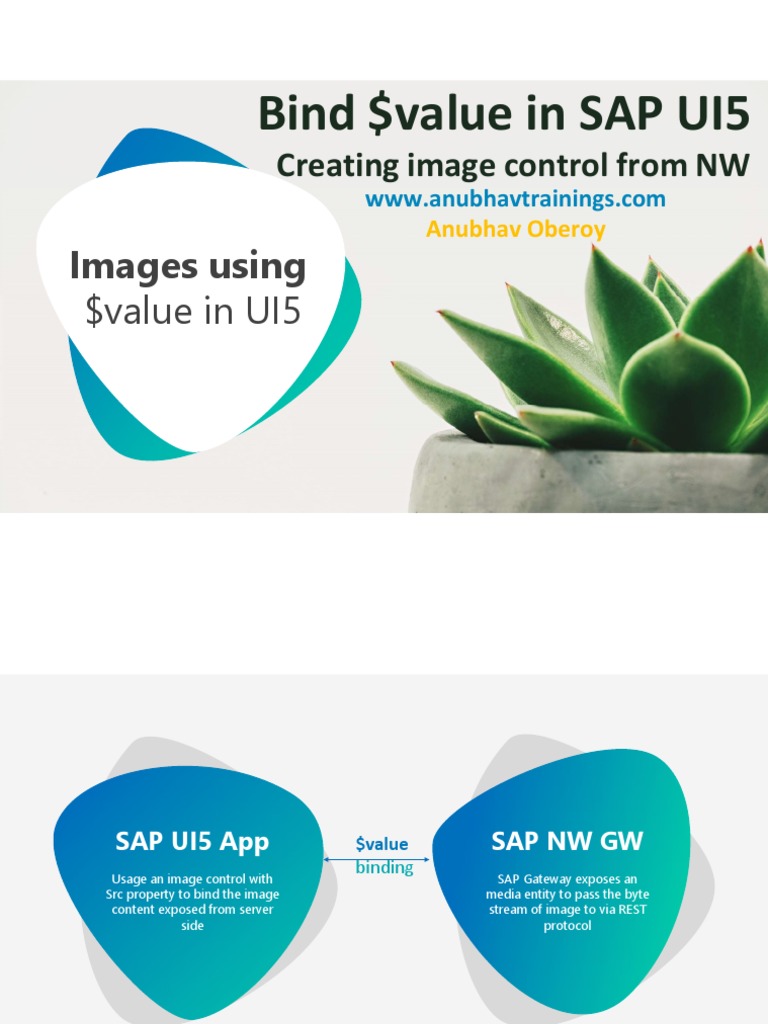 Bind $value in SAP UI5: Creating Image Control From NW | PDF