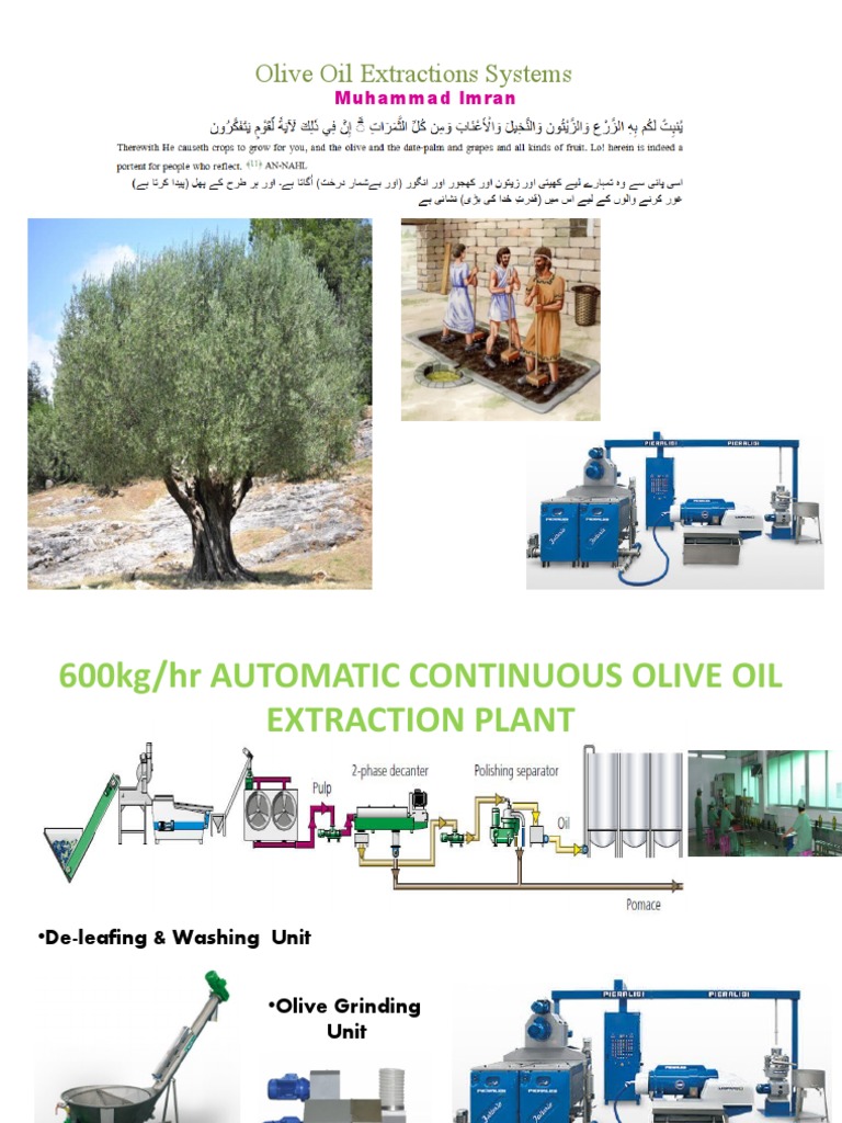 Oil Extraction | PDF | Cooking, Food & Wine