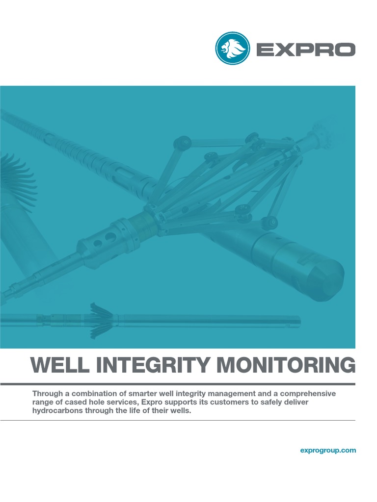 Well Integrity Monitoring | PDF | Casing (Borehole) | Flow Measurement