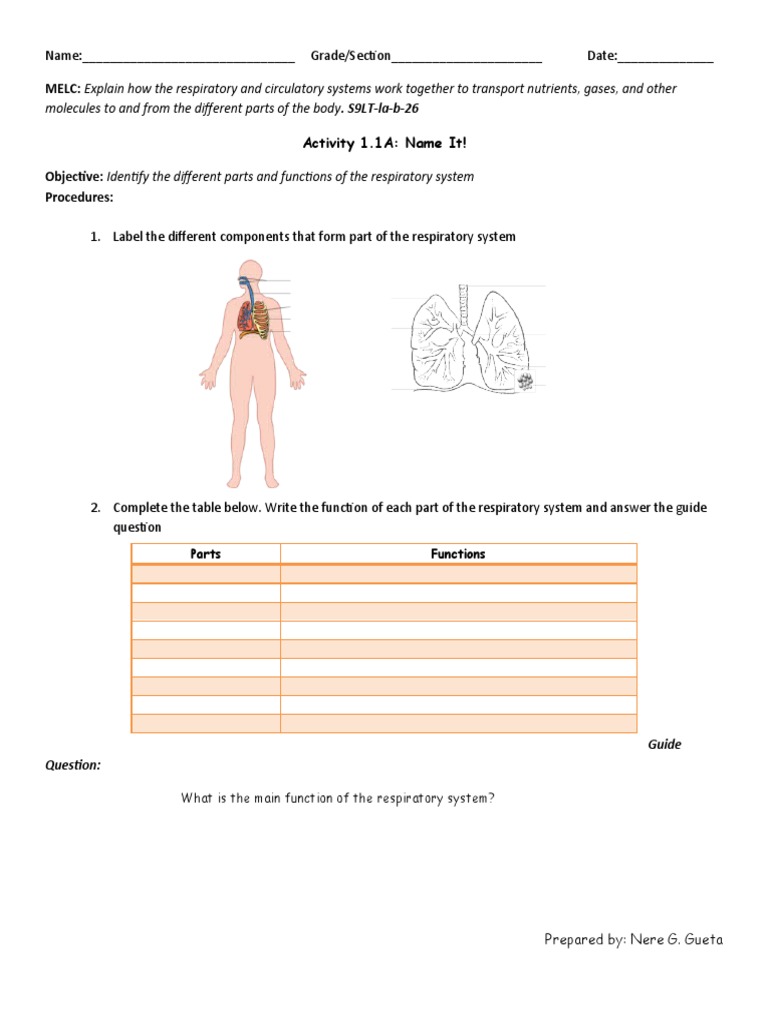 Molecules To and From The Different Parts of The Body. S9LT-la-b-26 ...