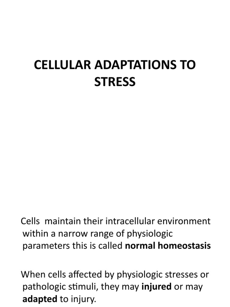 Cellular Adaptations To Stress | PDF | Epithelium | Anatomy