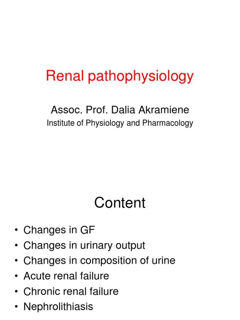 Understanding Renal Pathophysiology | PDF | Renal Function | Kidney