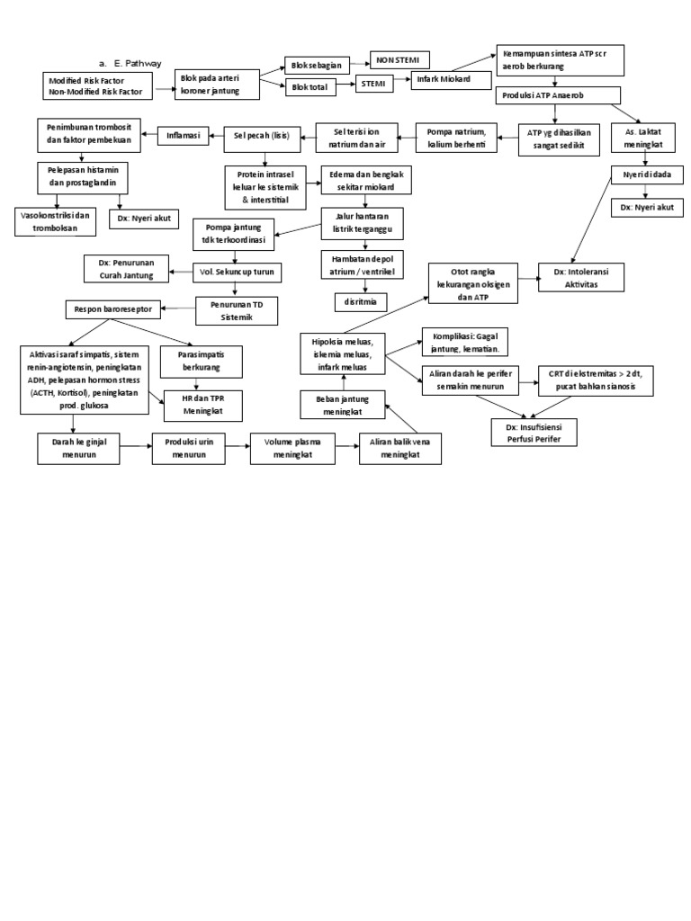 Pathway Nstemi | PDF