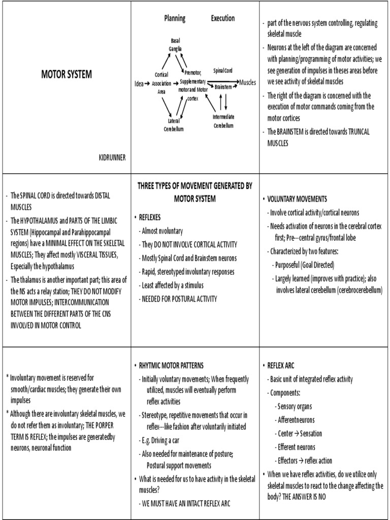 Motor System: Three Types of Movement Generated by Motor System | PDF ...
