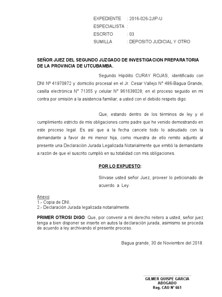 Escrito Sobre Cancelacion de Deuda Judicial | PDF