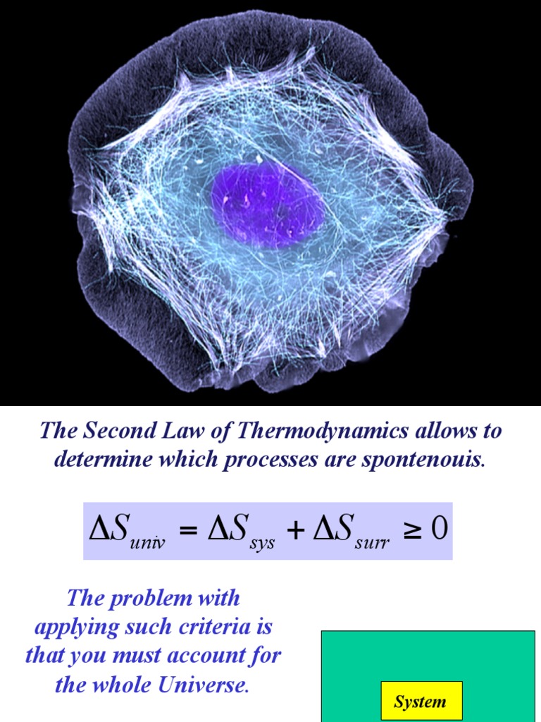 Lecture 06 Biophysics Free Energy | PDF | Gibbs Free Energy ...