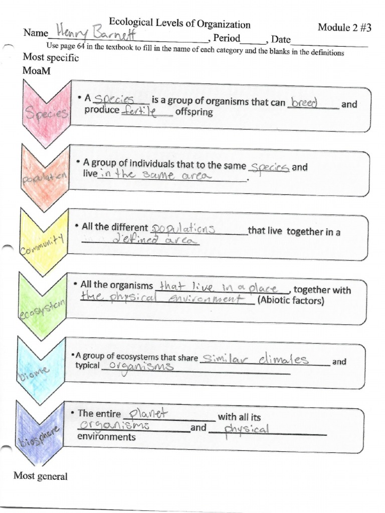 Ecological Levels of Organization PDF | PDF