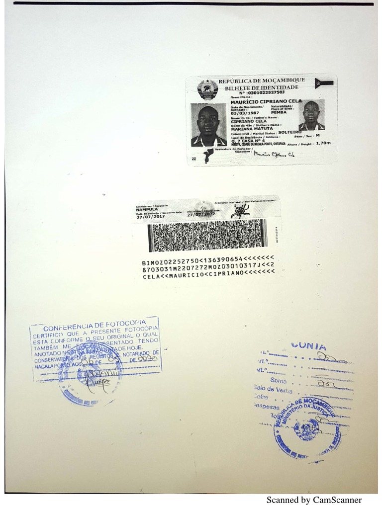 Scanned Document Overview and Tips | PDF