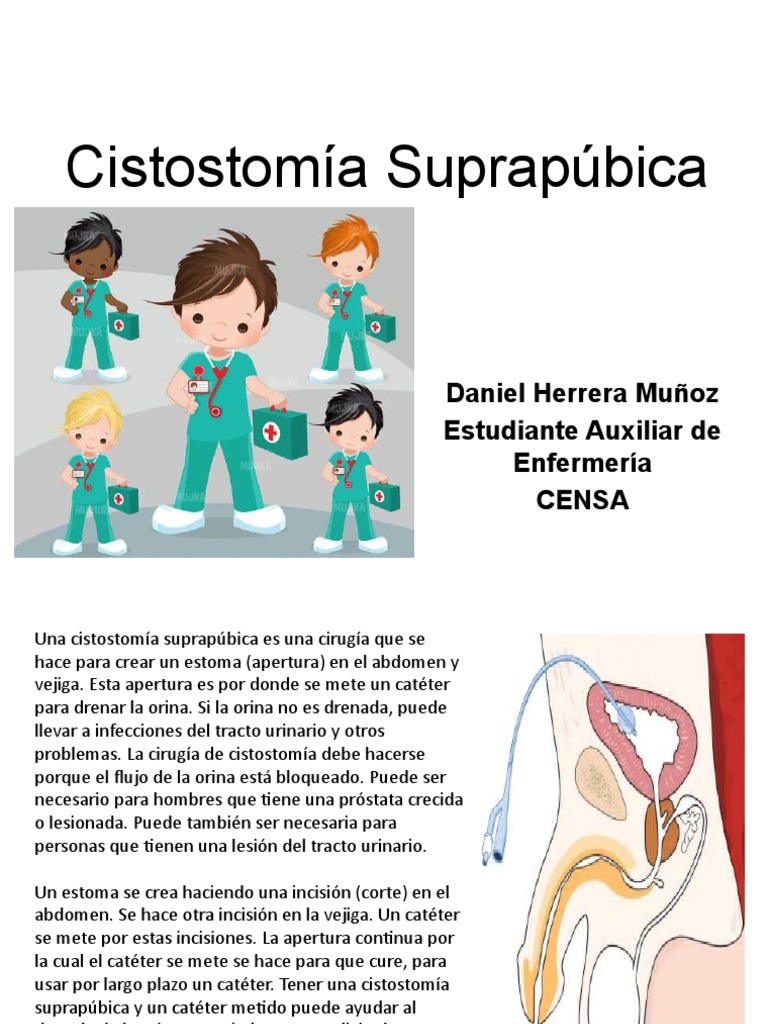 Cistostomía Suprapúbica | PDF | Sistema urinario | Enfermedades y ...
