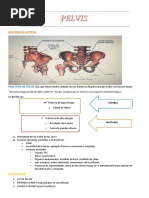 Fracturas de Cotilo | PDF | Pelvis | Sistema esquelético